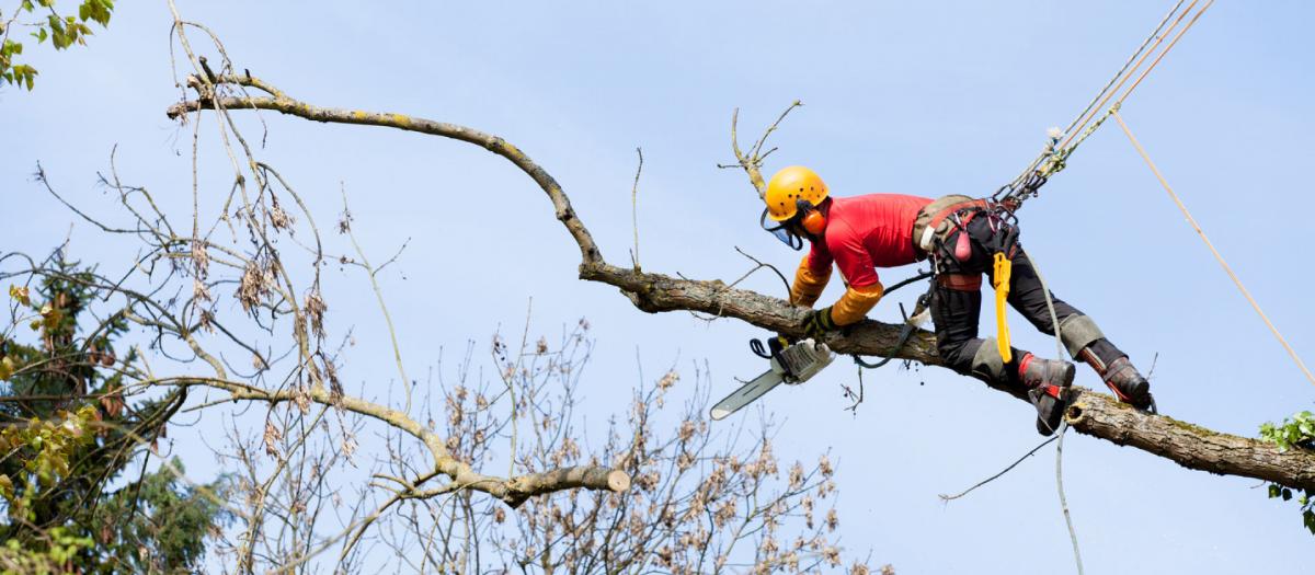 Confiez-nous vos travaux | AMITAF